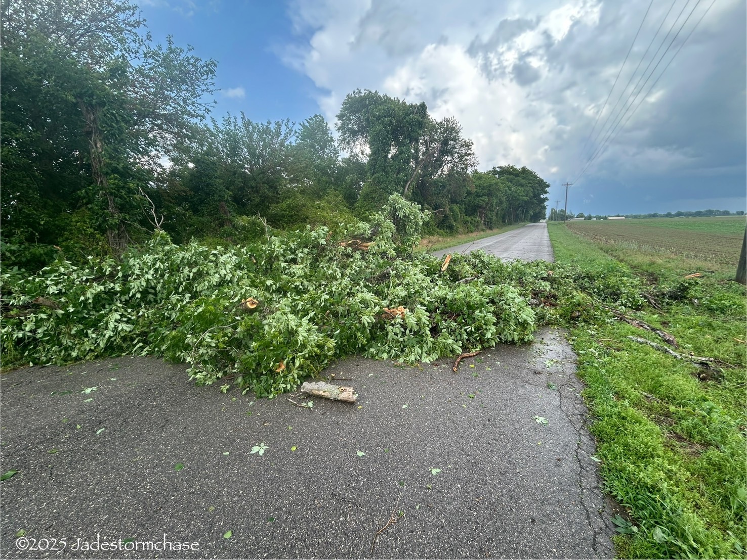 Jade stormchase photo